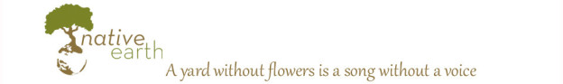 Native Earth | Custom gardening